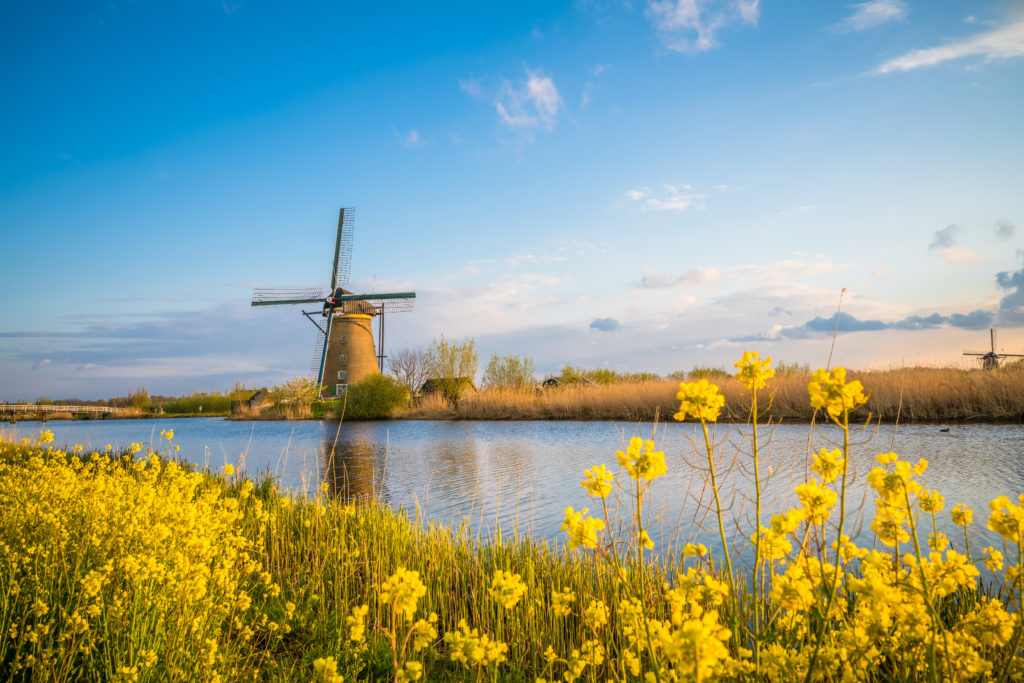 Expertise - Sonja Egger